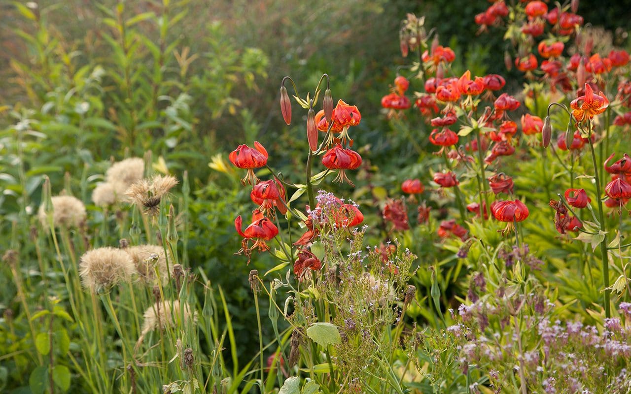 The Garden - Dig Delve – An online magazine about gardens, landscape ...