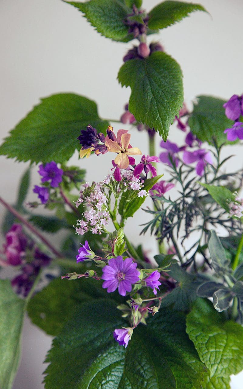 6 May 2016 - Dig Delve – An online magazine about gardens, landscape ...
