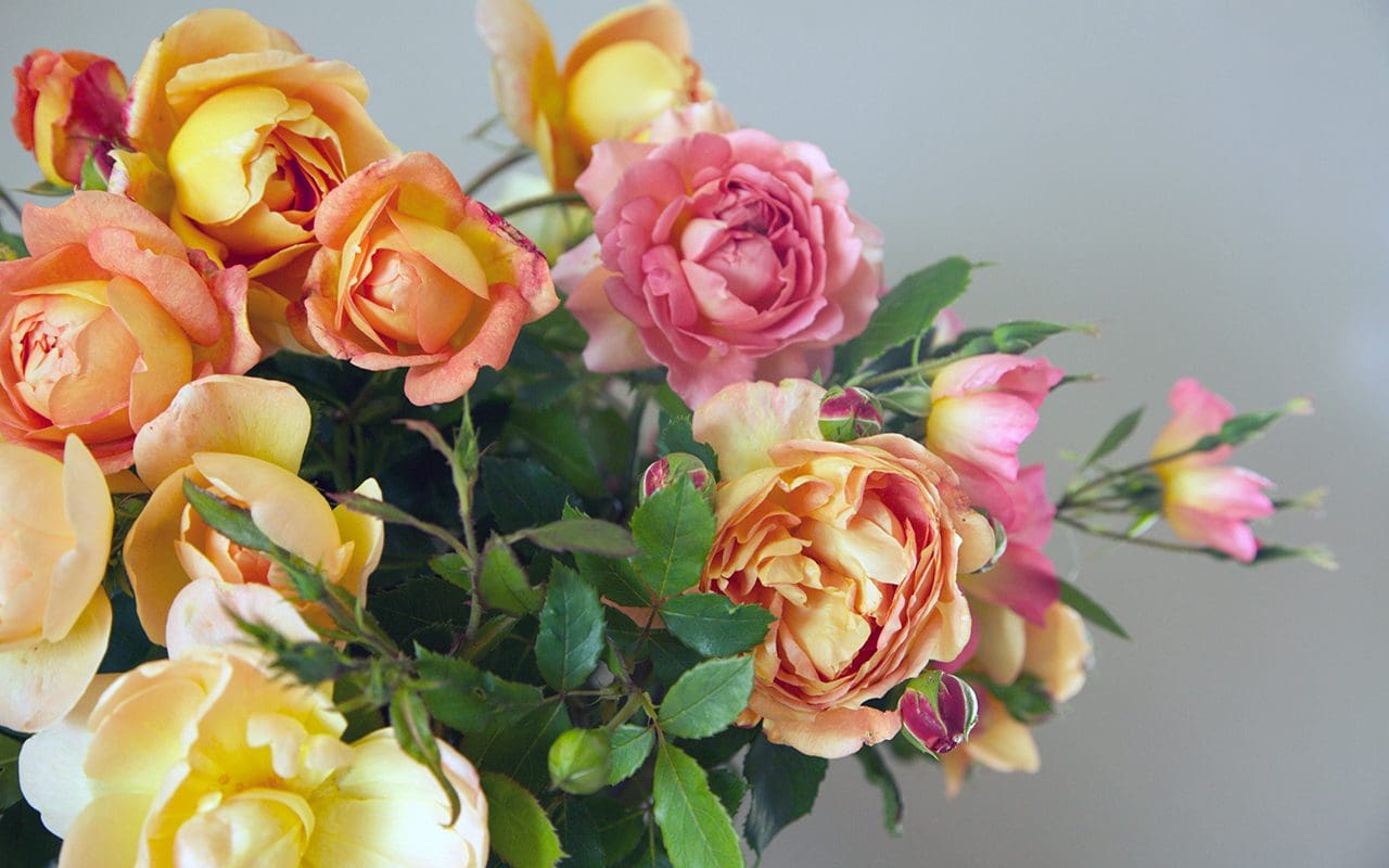 24 June 2016 - Dig Delve – An online magazine about gardens, landscape ...