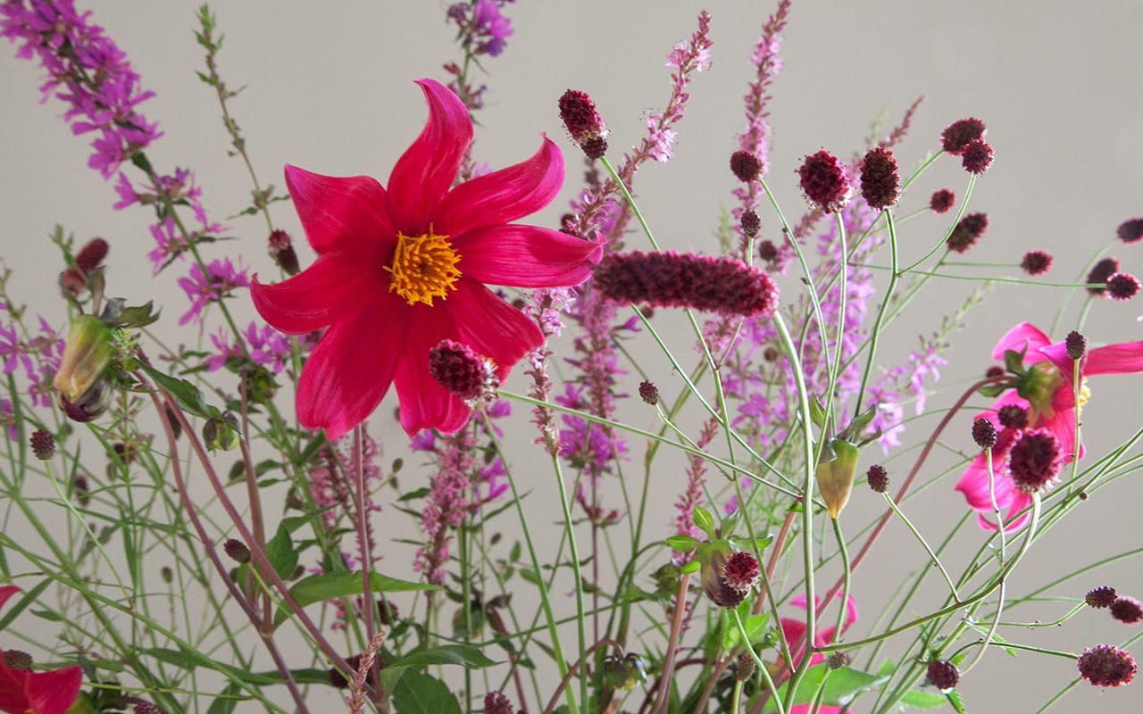 22 July 2016 - Dig Delve – An online magazine about gardens, landscape ...