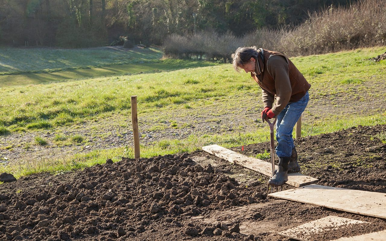 Winter Work - Dig Delve – An online magazine about gardens, landscape ...