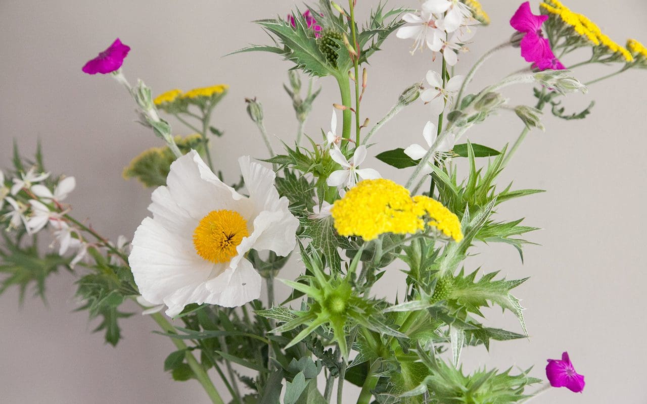 23 June 2017 - Dig Delve – An online magazine about gardens, landscape ...