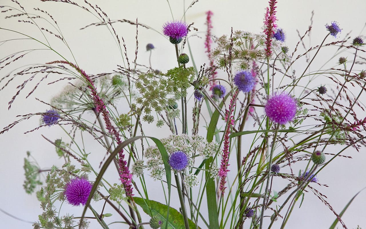 18 August 2017 - Dig Delve – An online magazine about gardens ...