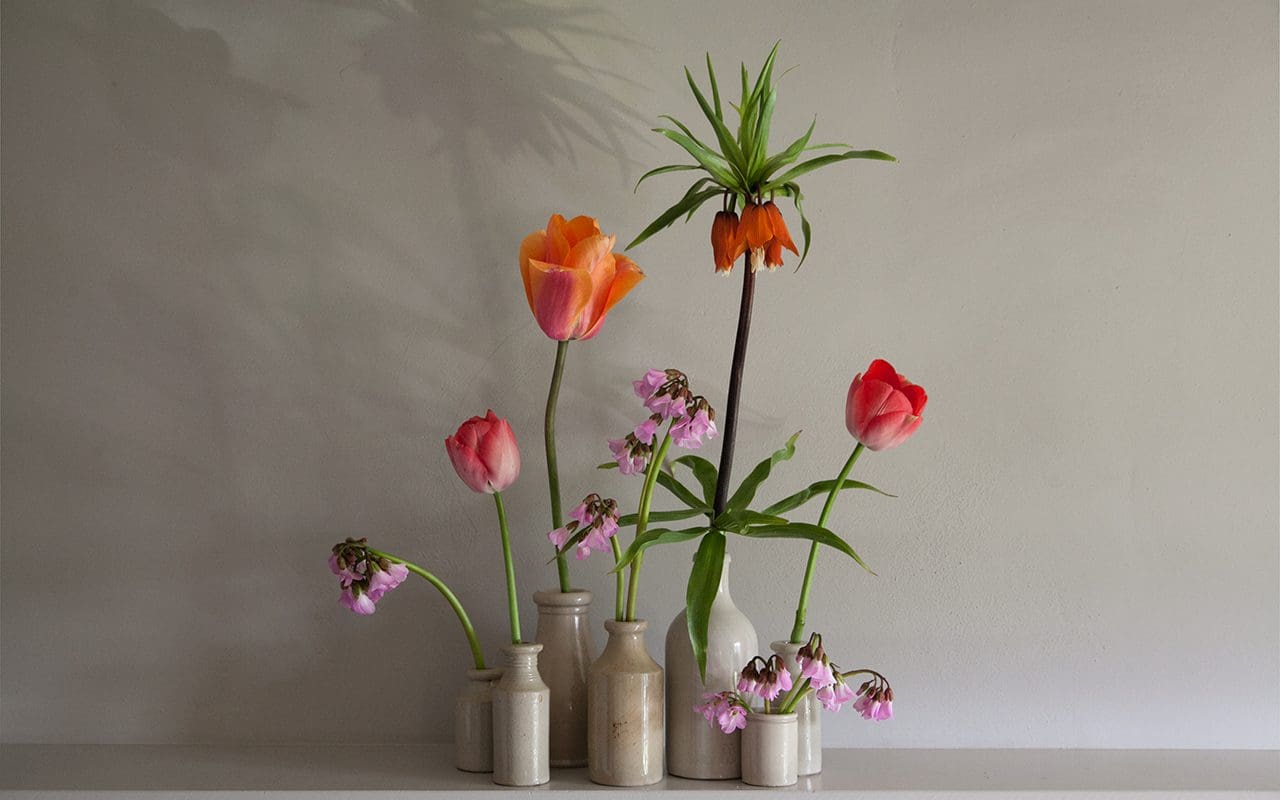 20 April 2018 - Dig Delve – An online magazine about gardens, landscape ...