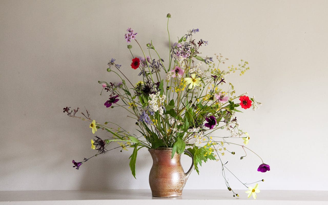 17 August 2018 - Dig Delve – An online magazine about gardens ...