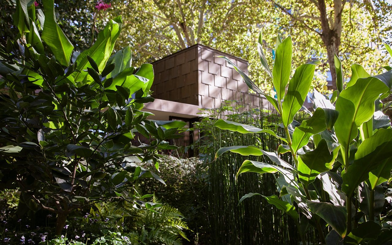 The Garden Museum - Dig Delve – An online magazine about gardens ...