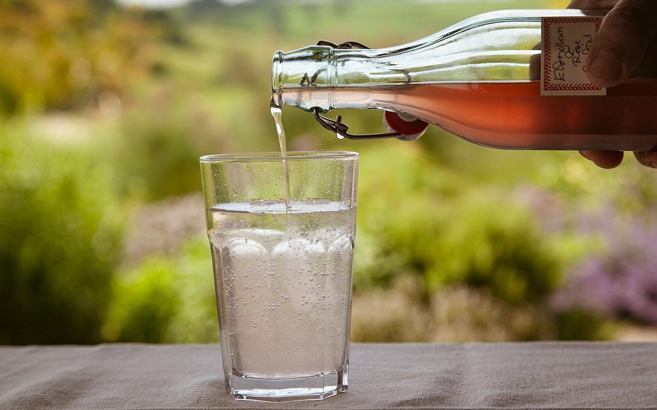Elderflower & Rose Cordial - Dig Delve – An online magazine about ...