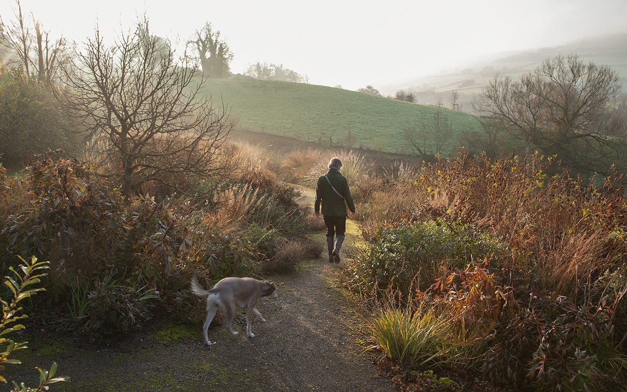 The Last of Autumn - Dig Delve – An online magazine about gardens ...
