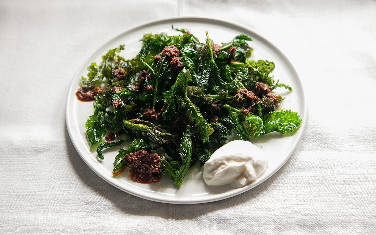 Fried Flower Sprouts & Wild Garlic Harissa - Dig Delve – An online ...