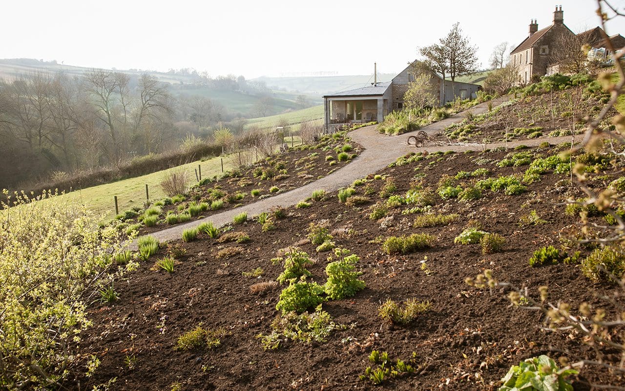 A New World - Dig Delve – An online magazine about gardens, landscape ...