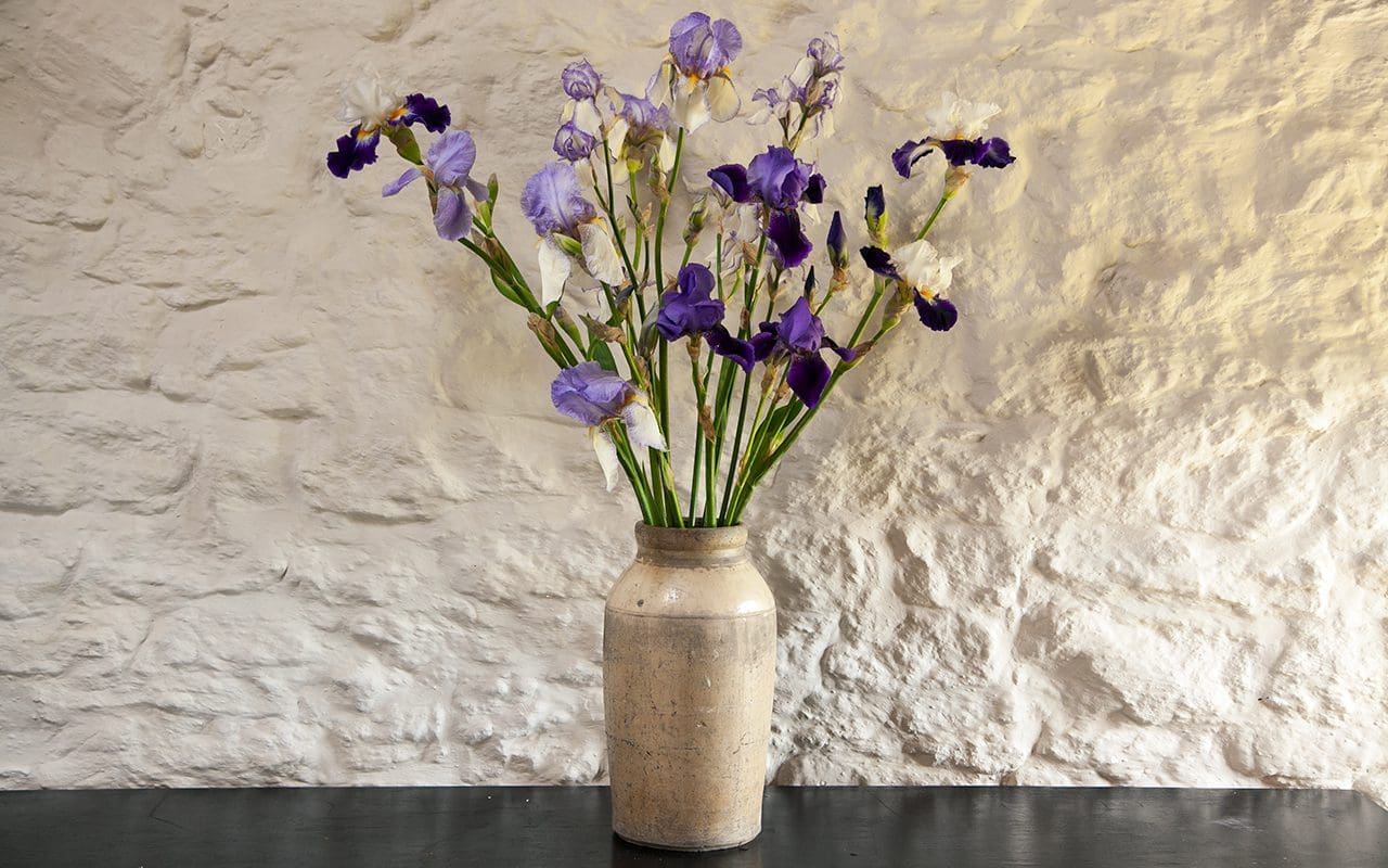 15 May 2020 - Dig Delve – An online magazine about gardens, landscape ...