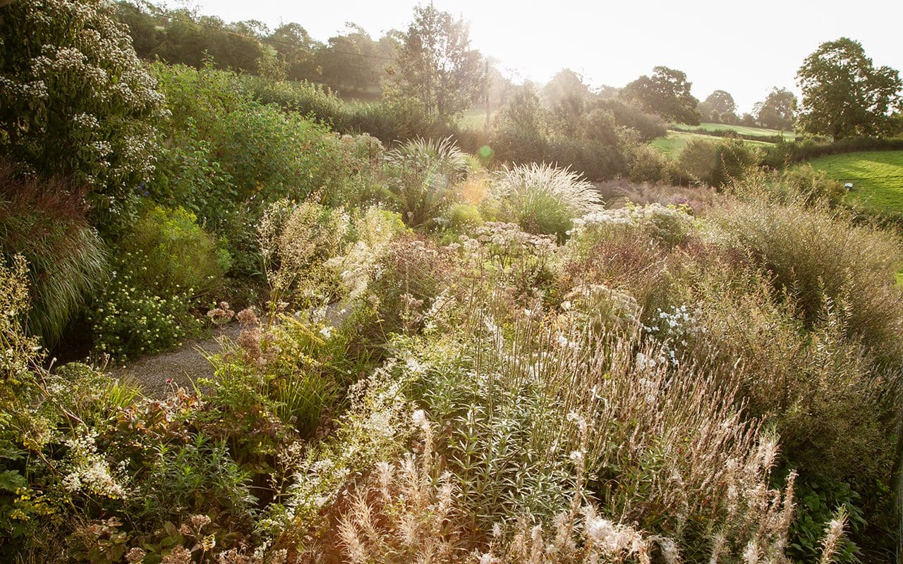 Three Years In - Dig Delve – An online magazine about gardens ...
