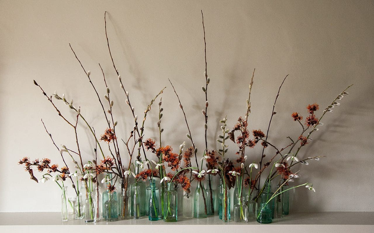 5 February 2021 - Dig Delve – An online magazine about gardens ...