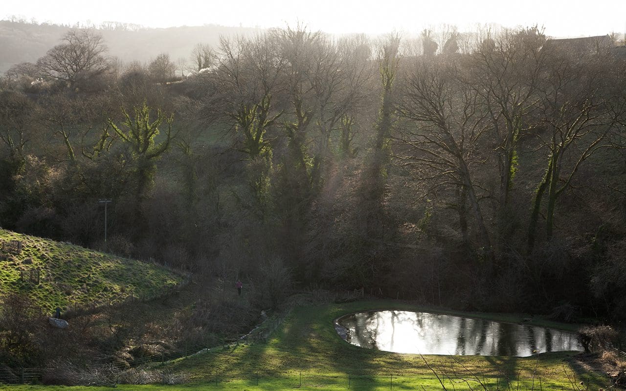Time to Engage - Dig Delve – An online magazine about gardens ...