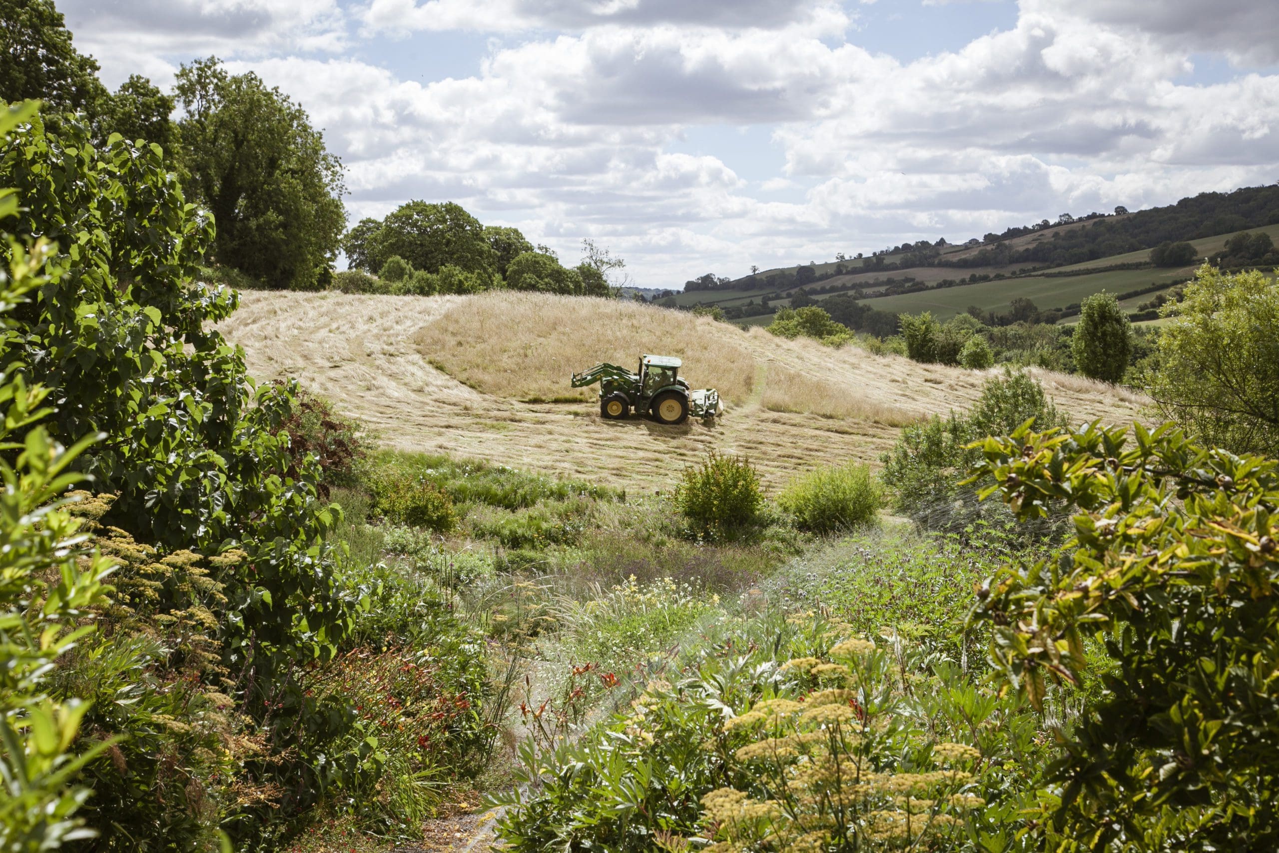 Making Hay - Dig Delve – An online magazine about gardens, landscape ...