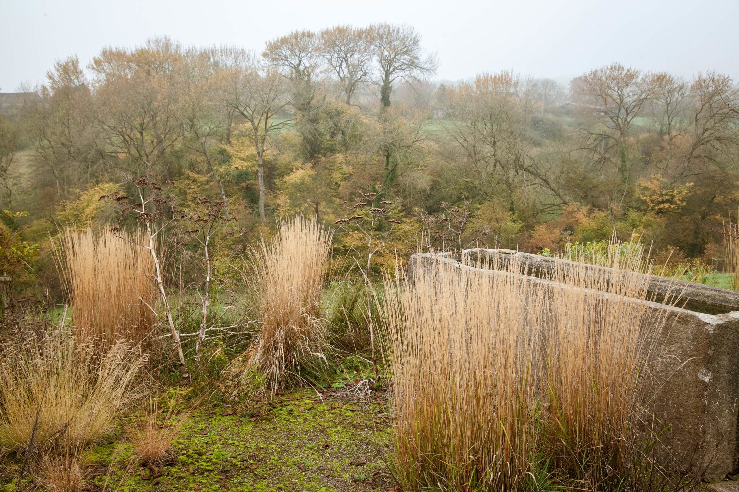Front page - Dig Delve – An online magazine about gardens, landscape ...