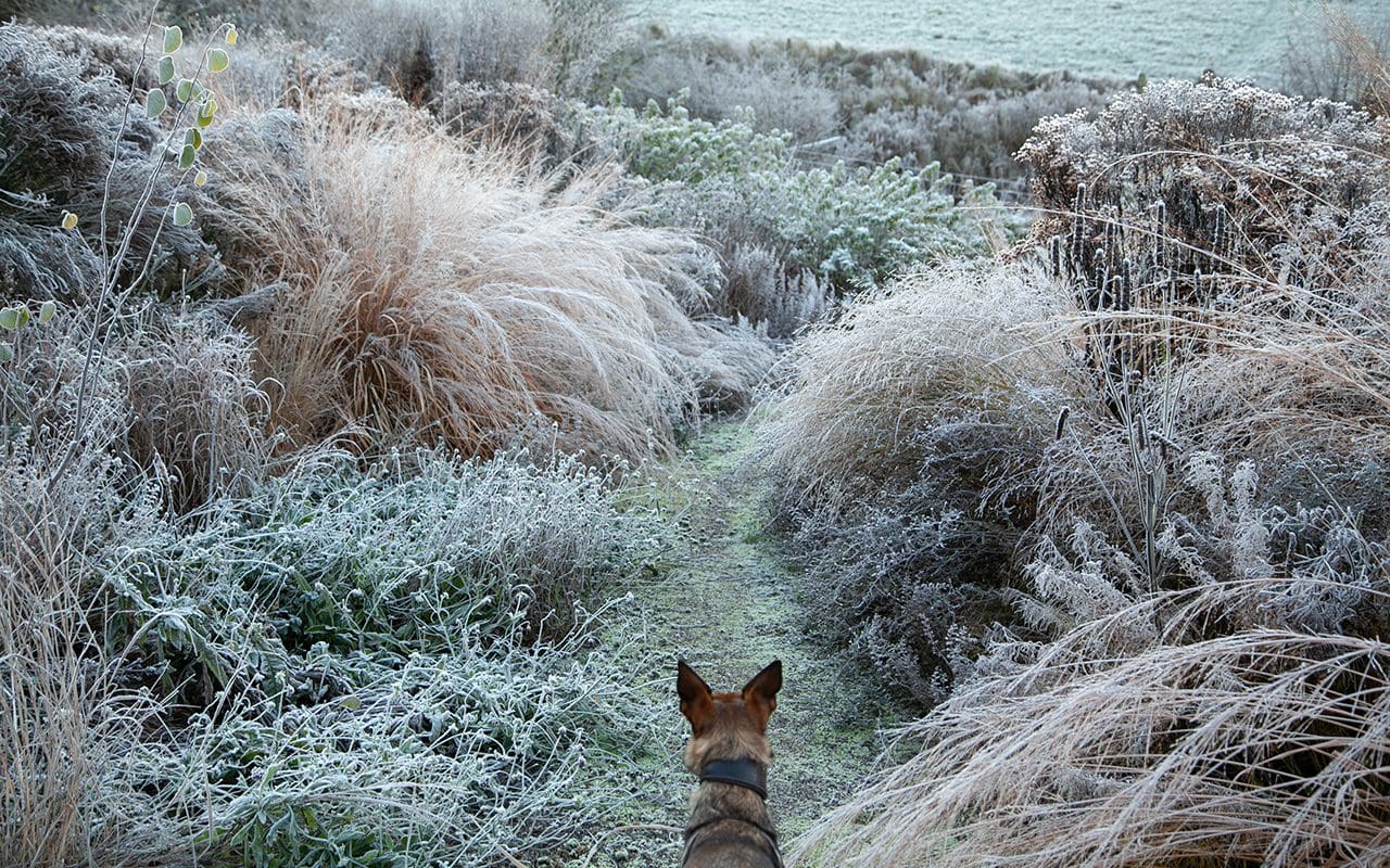 Finally - Dig Delve – An online magazine about gardens, landscape ...