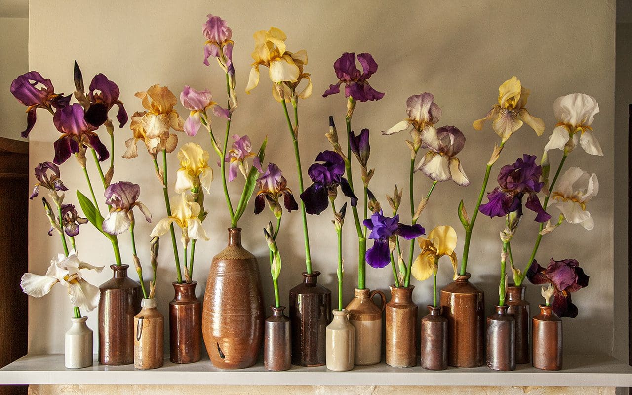 Spring Becomes Summer - Dig Delve – An online magazine about gardens ...