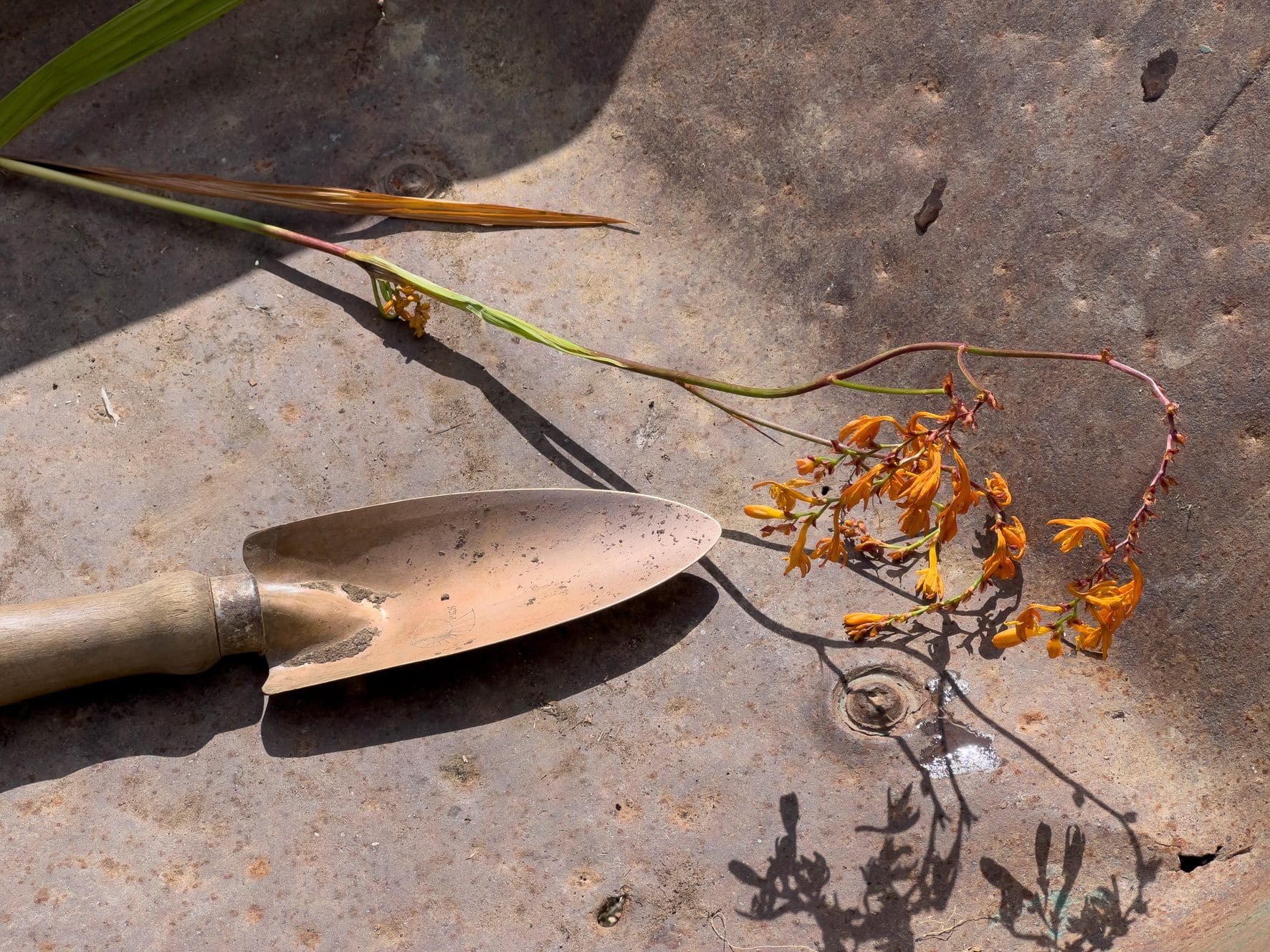 Howard Sooley | September 2023 - Dig Delve – An online magazine about ...