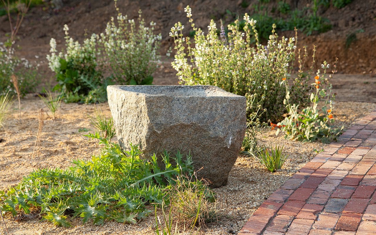 A New Garden | Update - Dig Delve – An online magazine about gardens ...