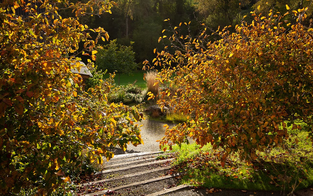 October Days - Dig Delve – An online magazine about gardens, landscape ...