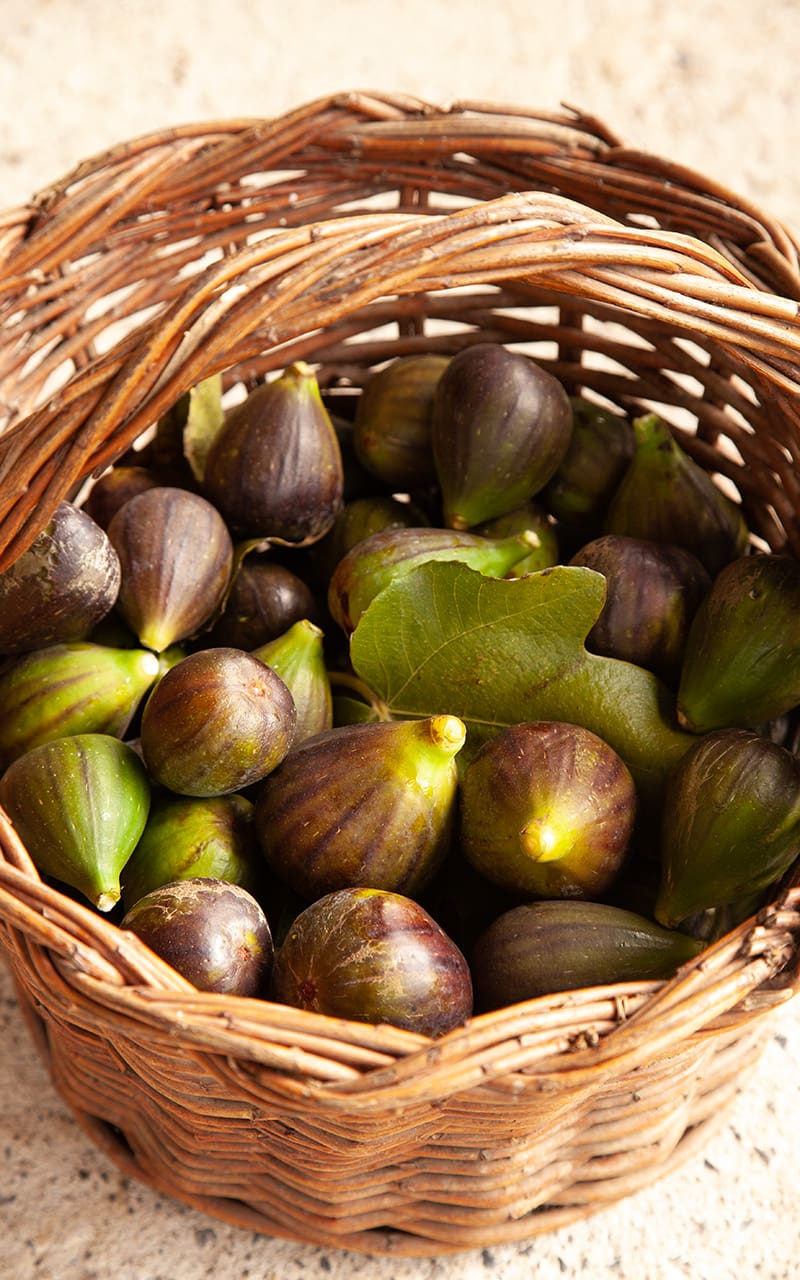 Figs - Dig Delve – An online magazine about gardens, landscape, growing ...