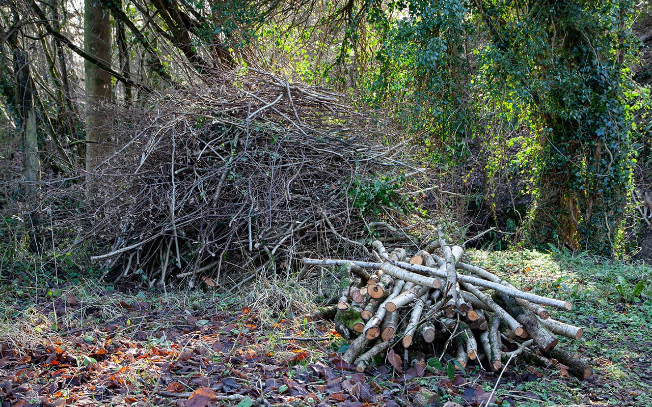 Wood Work - Dig Delve – An online magazine about gardens, landscape ...