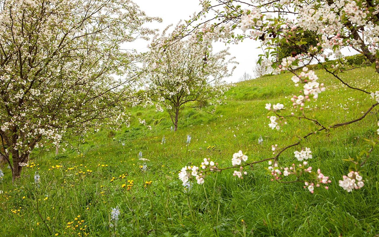April into May - Dig Delve – An online magazine about gardens ...