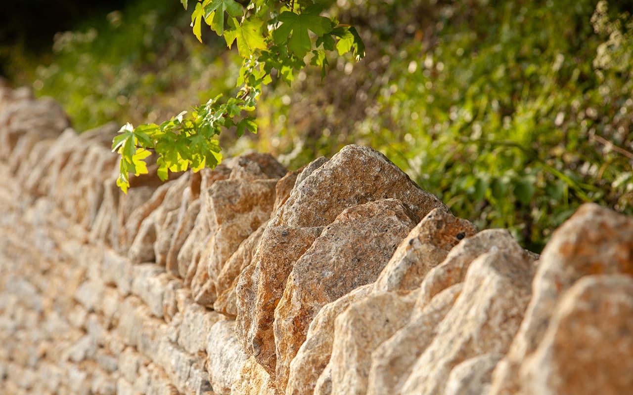 A New Wall - Dig Delve – An online magazine about gardens, landscape ...