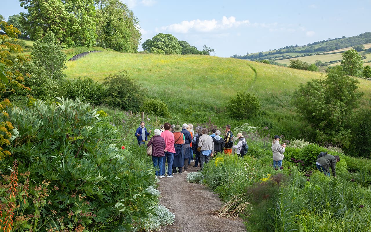 Garden Visitors - Dig Delve – An online magazine about gardens ...