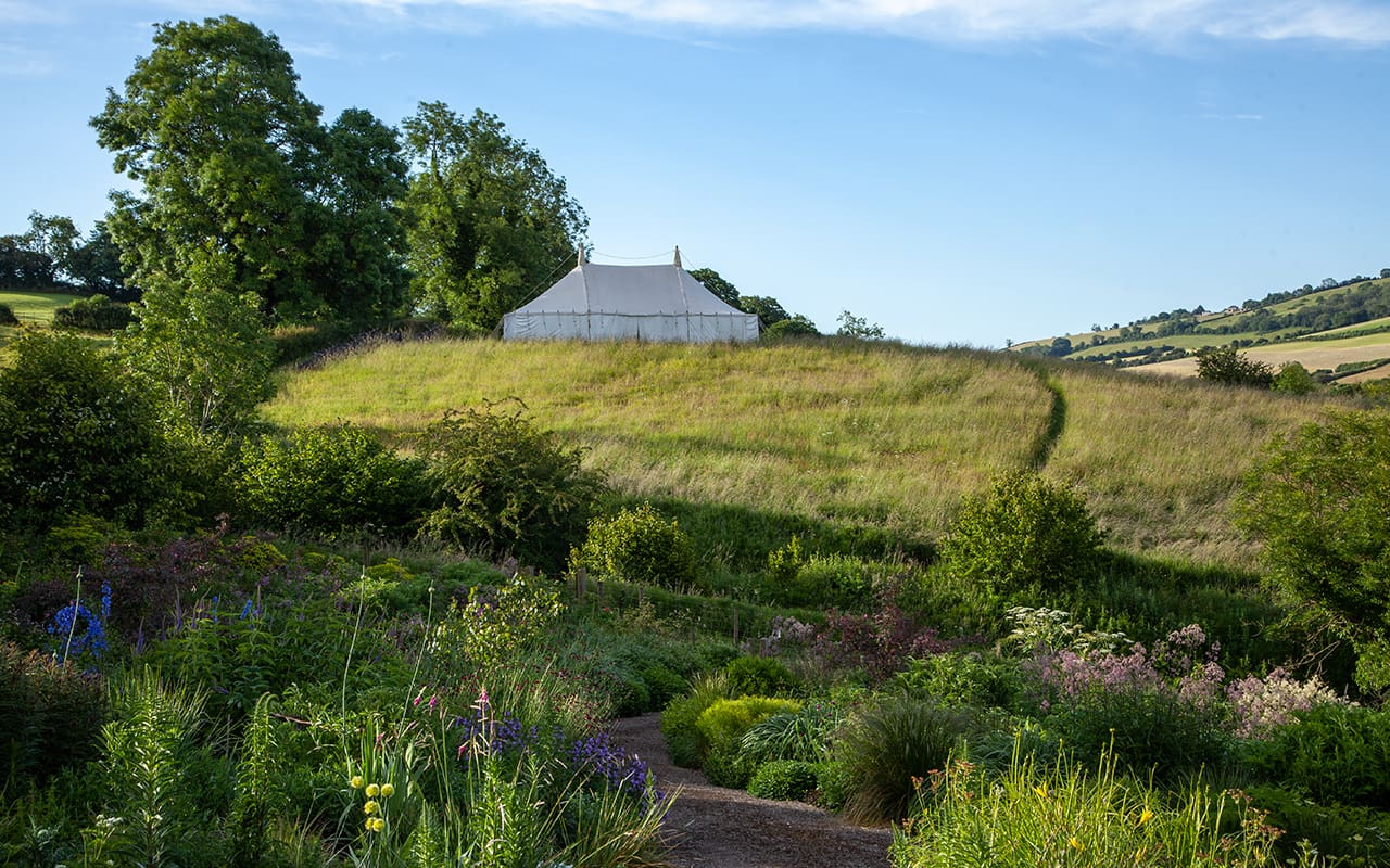 60 Years - Dig Delve – An online magazine about gardens, landscape ...