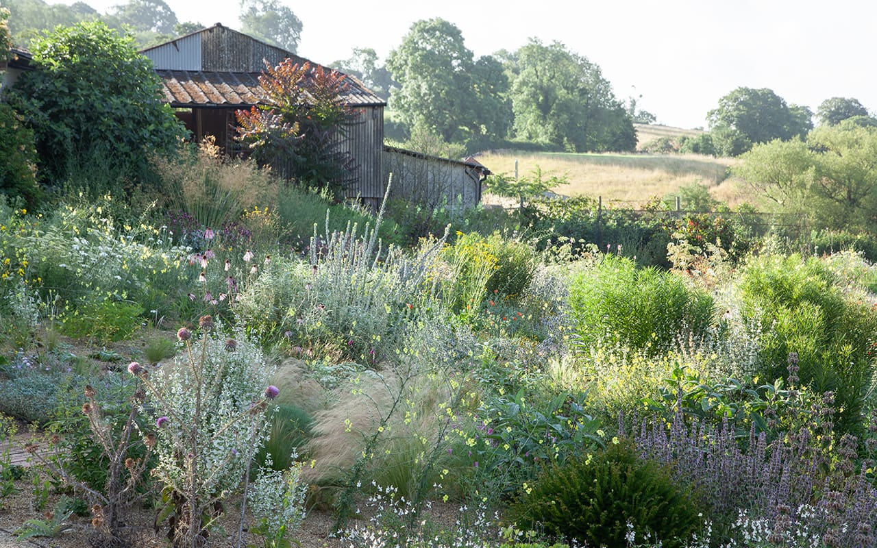 The Sand Garden | A Year On - Dig Delve – An online magazine about gardens, landscape, growing ...