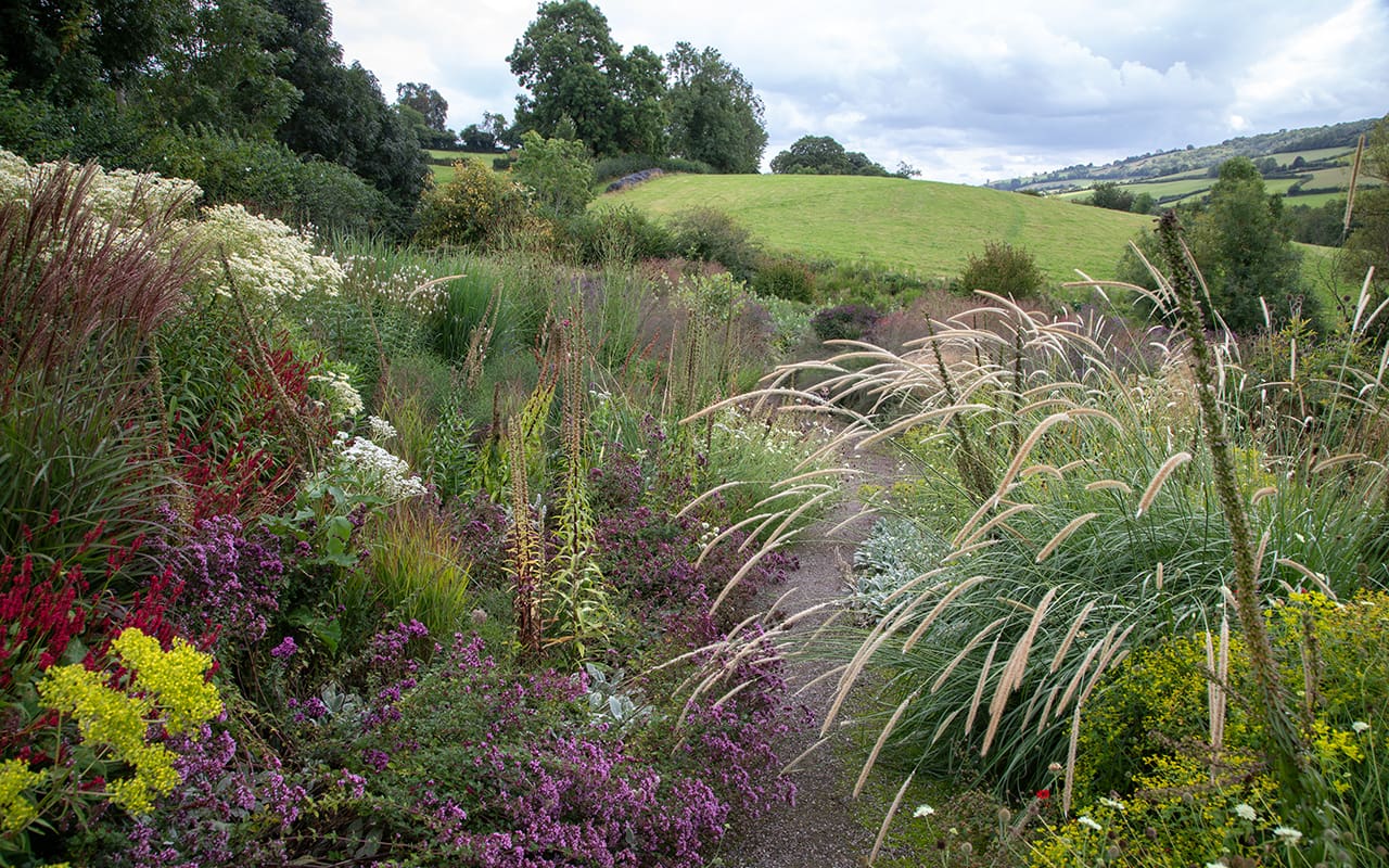 Change in Season - Dig Delve – An online magazine about gardens ...