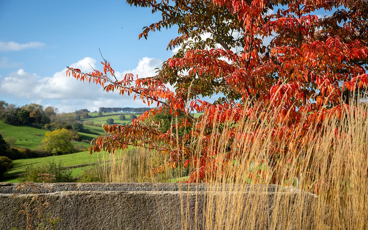 New Prospects - Dig Delve – An online magazine about gardens, landscape ...