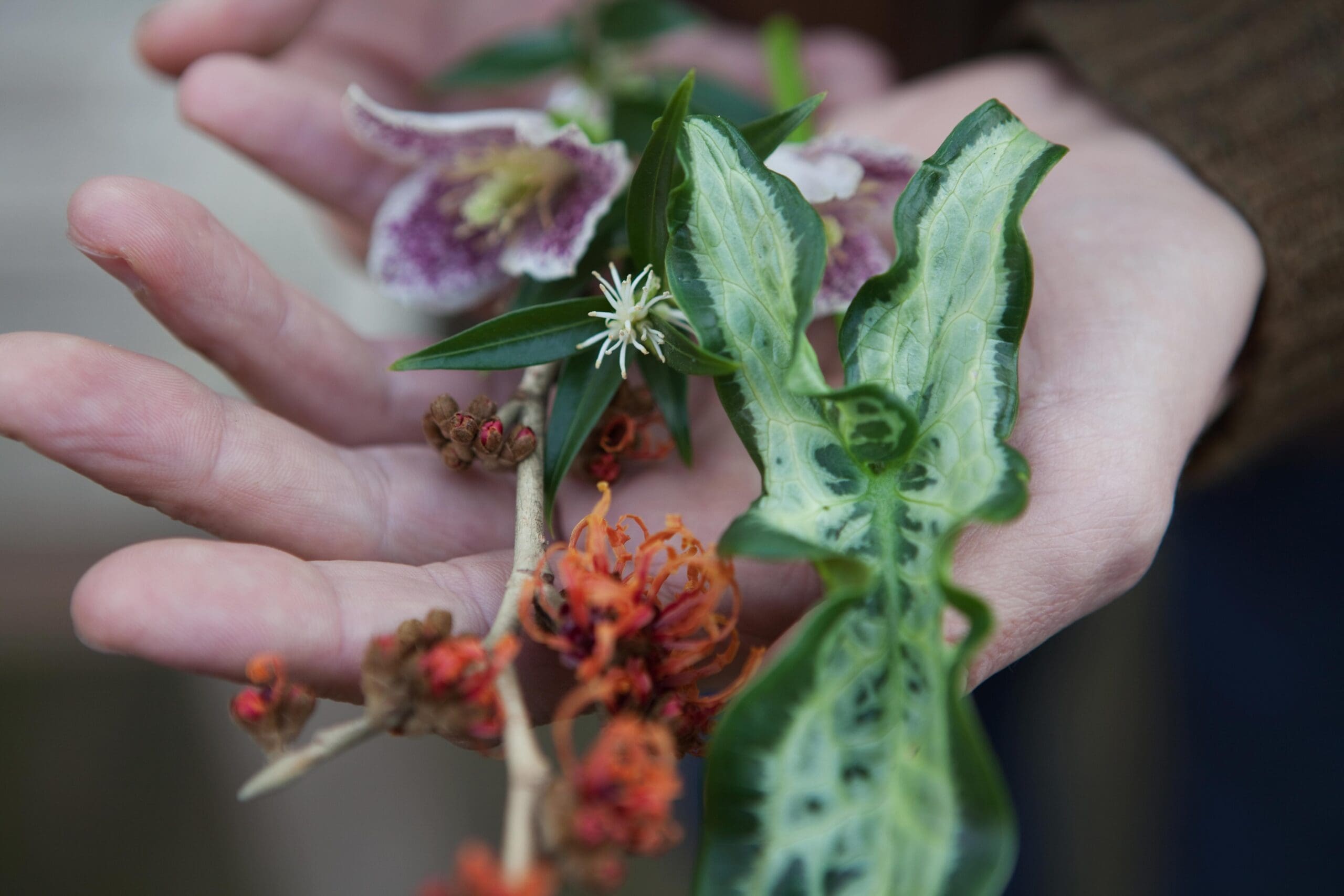 23 May 2025 - Dig Delve – An online magazine about gardens, landscape ...