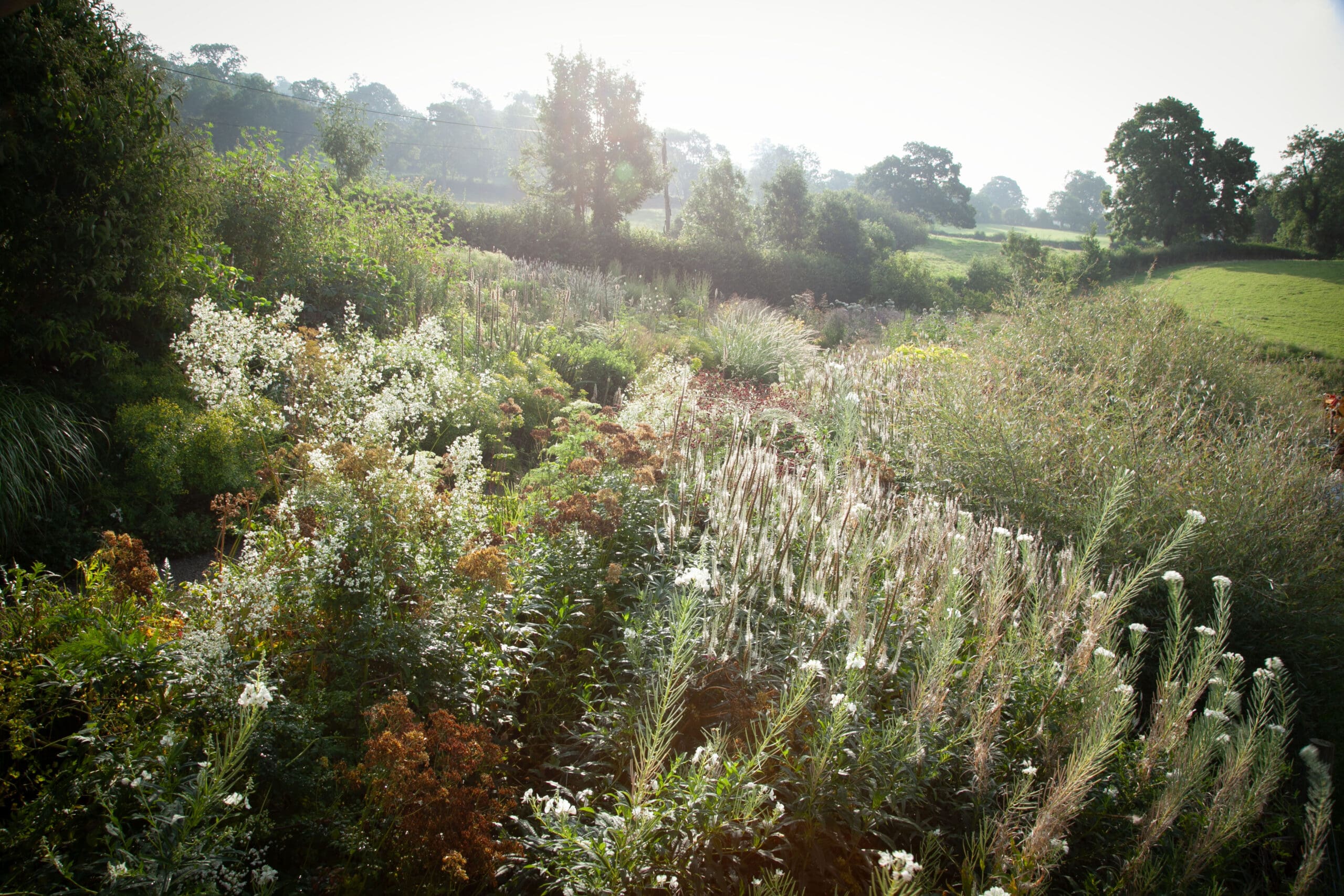 Front page - Dig Delve – An online magazine about gardens, landscape ...