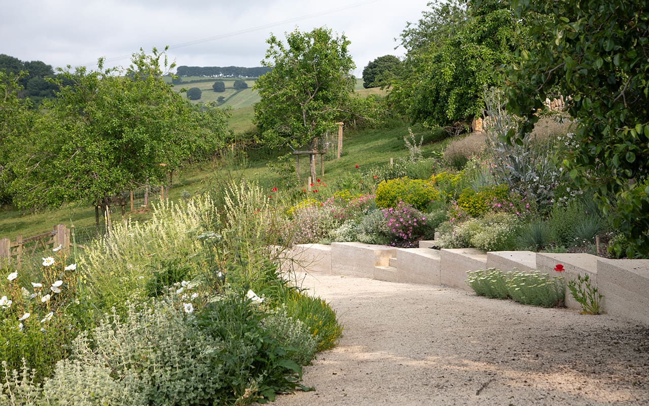 The New Banks - Dig Delve – An online magazine about gardens, landscape ...