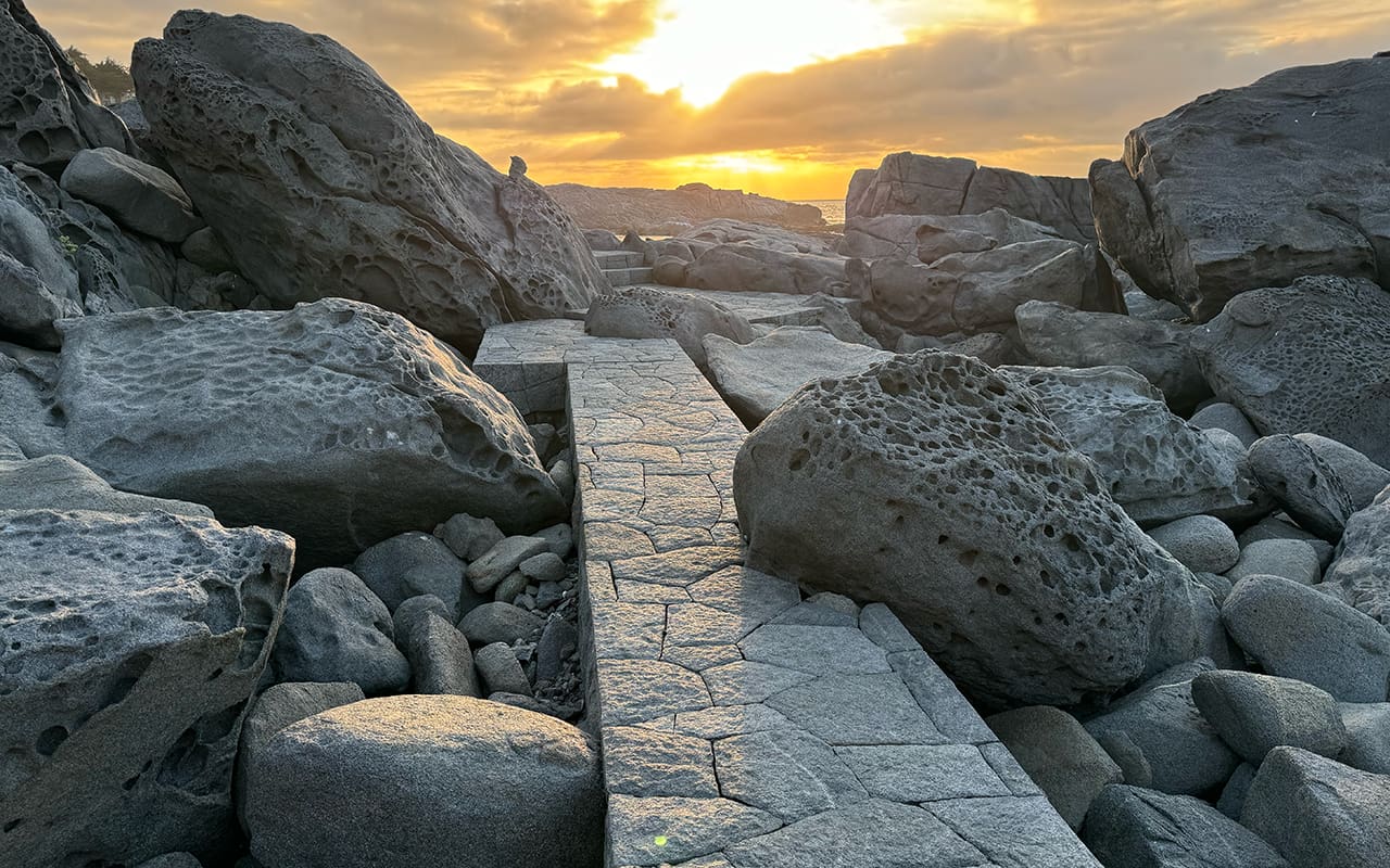 Punta Pite - Dig Delve – An online magazine about gardens, landscape ...